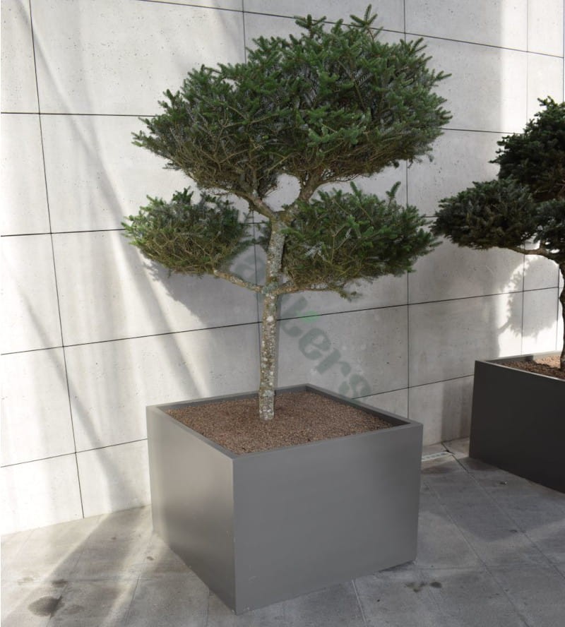 Donica kwadratowa 50 cm włókna szklanego BIAŁA | 50x50 cm Planters